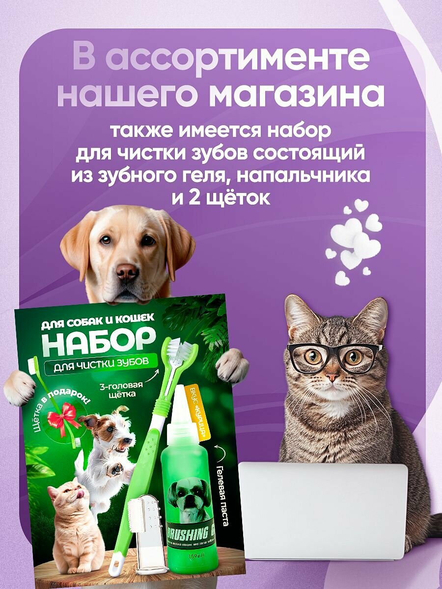 Комплект для чистки зубов домашних животных: зубная паста и щетка для кошек и собак, для ежедневного ухода за полостью