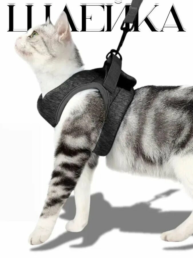 Регулируемая шлейка-жилетка для кошек с поводком / Кошачья