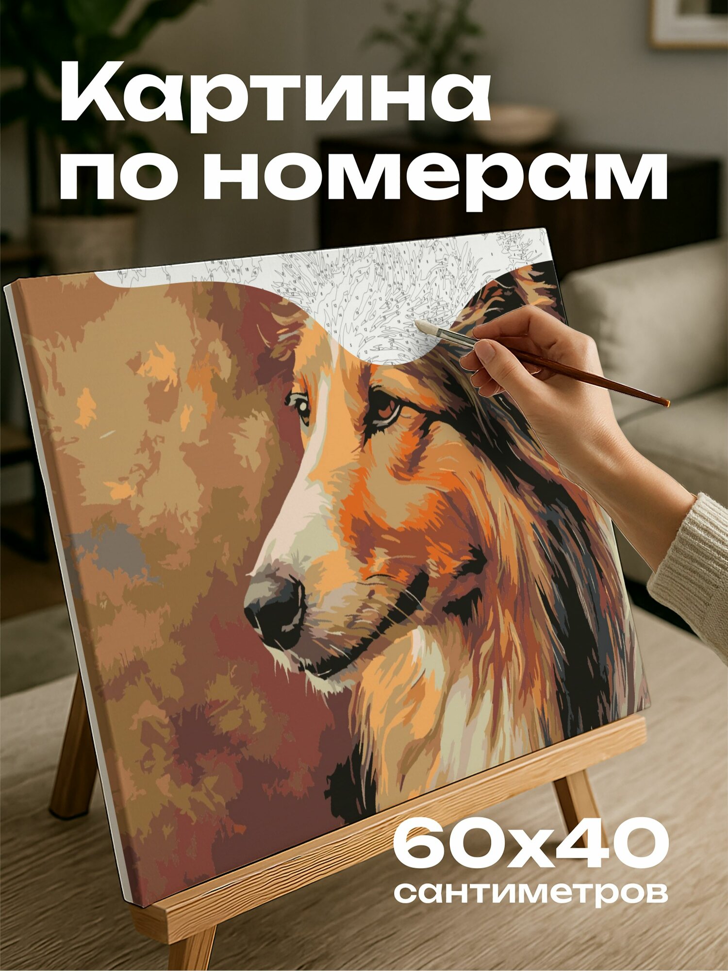Картина по номерам 60x40 см, Колли, масляная картина, текстурированный холст, реалистичные детали, умные глаза