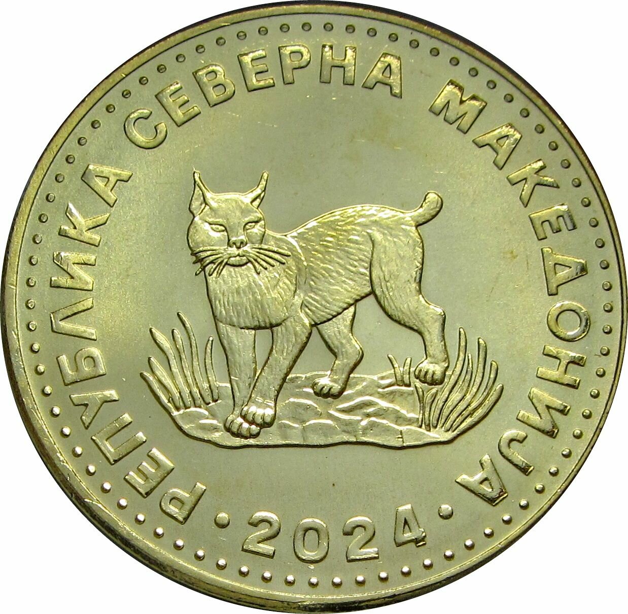 Монета Северной Македонии 5 денаров 2024 Рысь UNC, Идеальная
