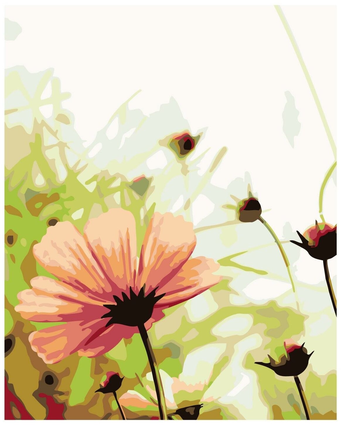 Нежность цветка Раскраска картина по номерам на холсте