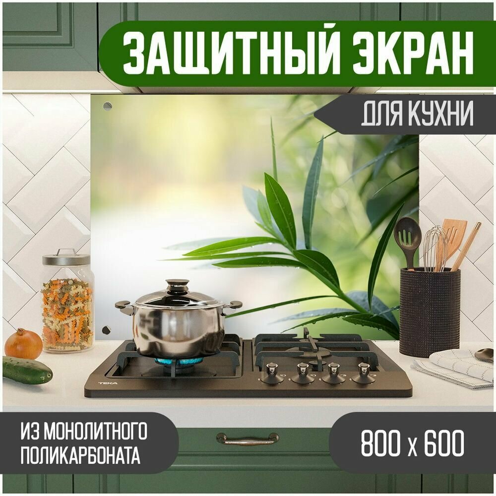 Защитный экран из акрилового стекла (поликарбонат) на кухонный фартук в зону мойки и плиты с фотопечатью. Панель на стену с рисунком Оливки 800 х 600 х 3 мм, 800-006