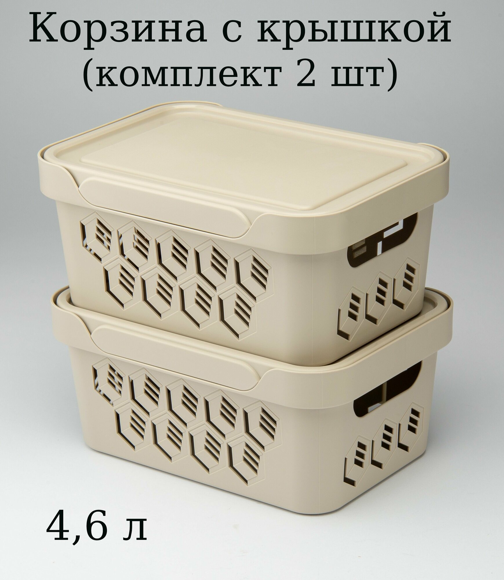 Контейнер с крышкой DELUXE 4,6 л (комплект 2 шт)