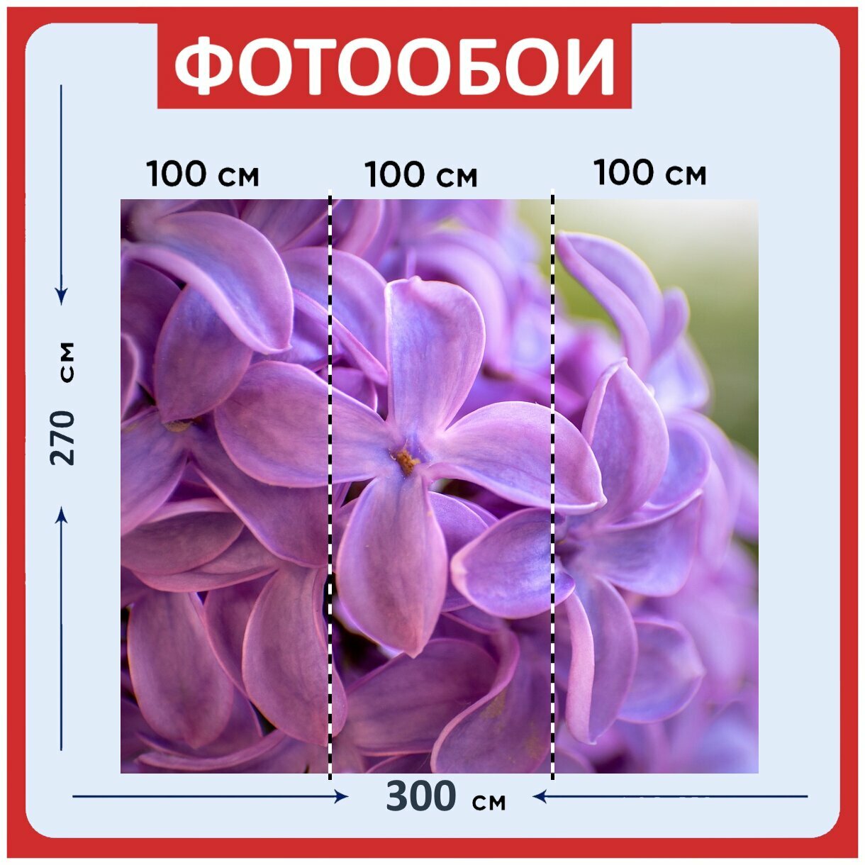 Фотообои ударопрочные моющиеся "Цветы, сирень, запах" 300x270 см. флизелиновые на стену