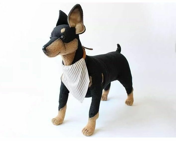 Ошейник-бандана для кошек и собак мелких пород 2 шт