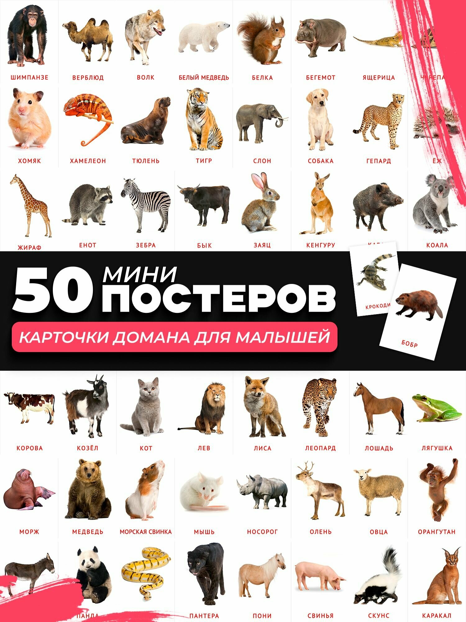 Набор мини постеров карточки Домана