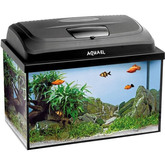 Аквариум с оборудованием Aquael AQUA4KIDS 40 DAY&NIGHT прямой 41х27х33 см (25 л)