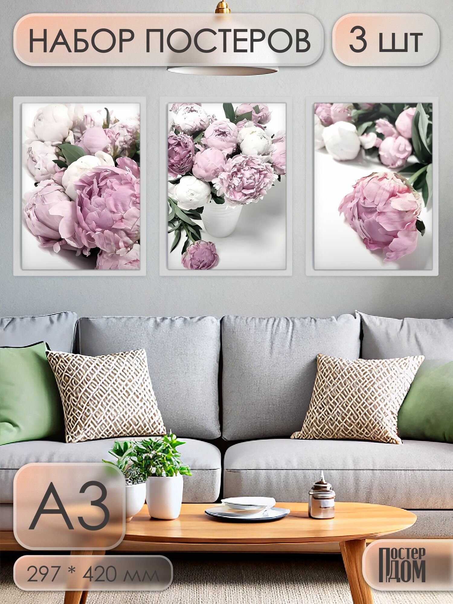 Постеры интерьерные на стену эстетика Пионы