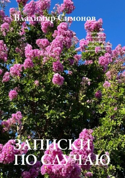 Записки по cлучаю. Серия книг поэтической философии миропонимания новой эпохи [Цифровая книга]