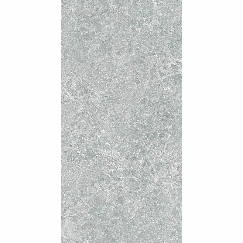 Керамогранит Stn Ceramica (Стн Керамика) P.E. 3DB Charisma Grey MT Rect. 60х120 см, ректификат (925978)