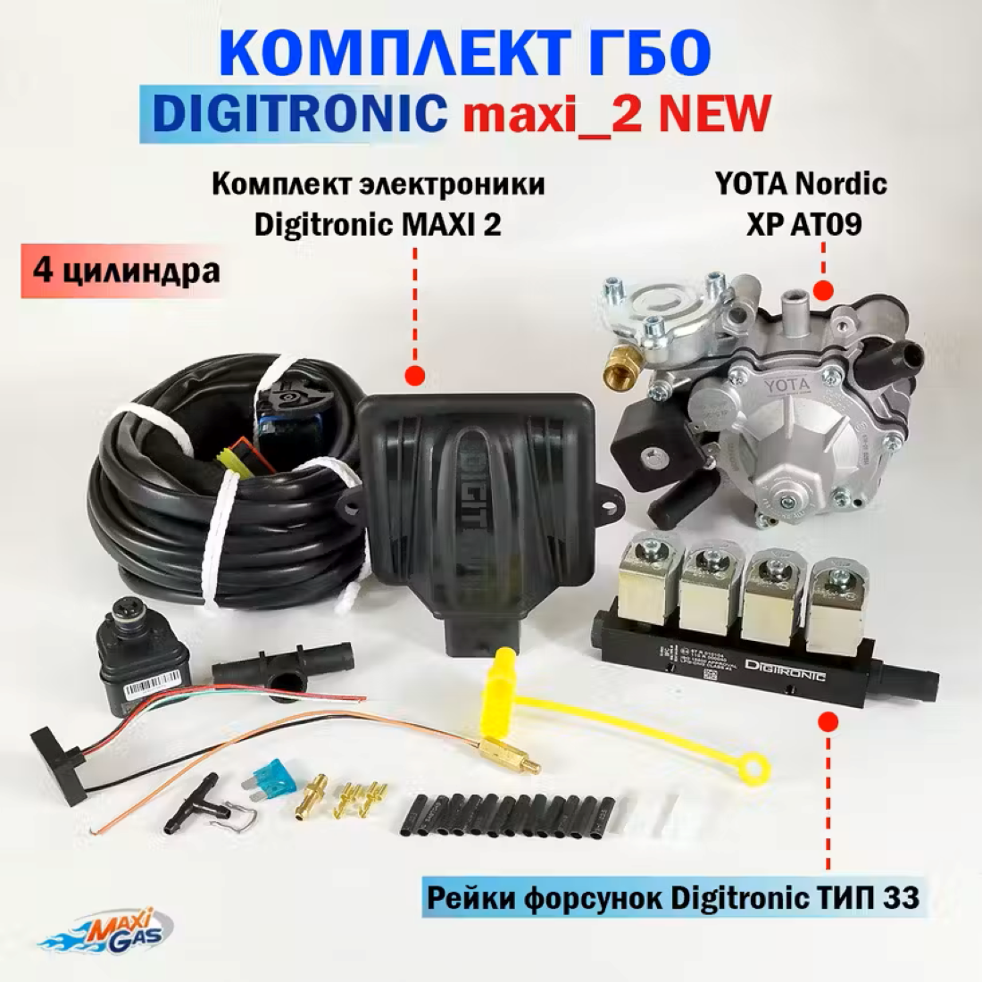Комплект ГБО (4 цилиндра): Maxi-2, Nordic XP, Тип 33