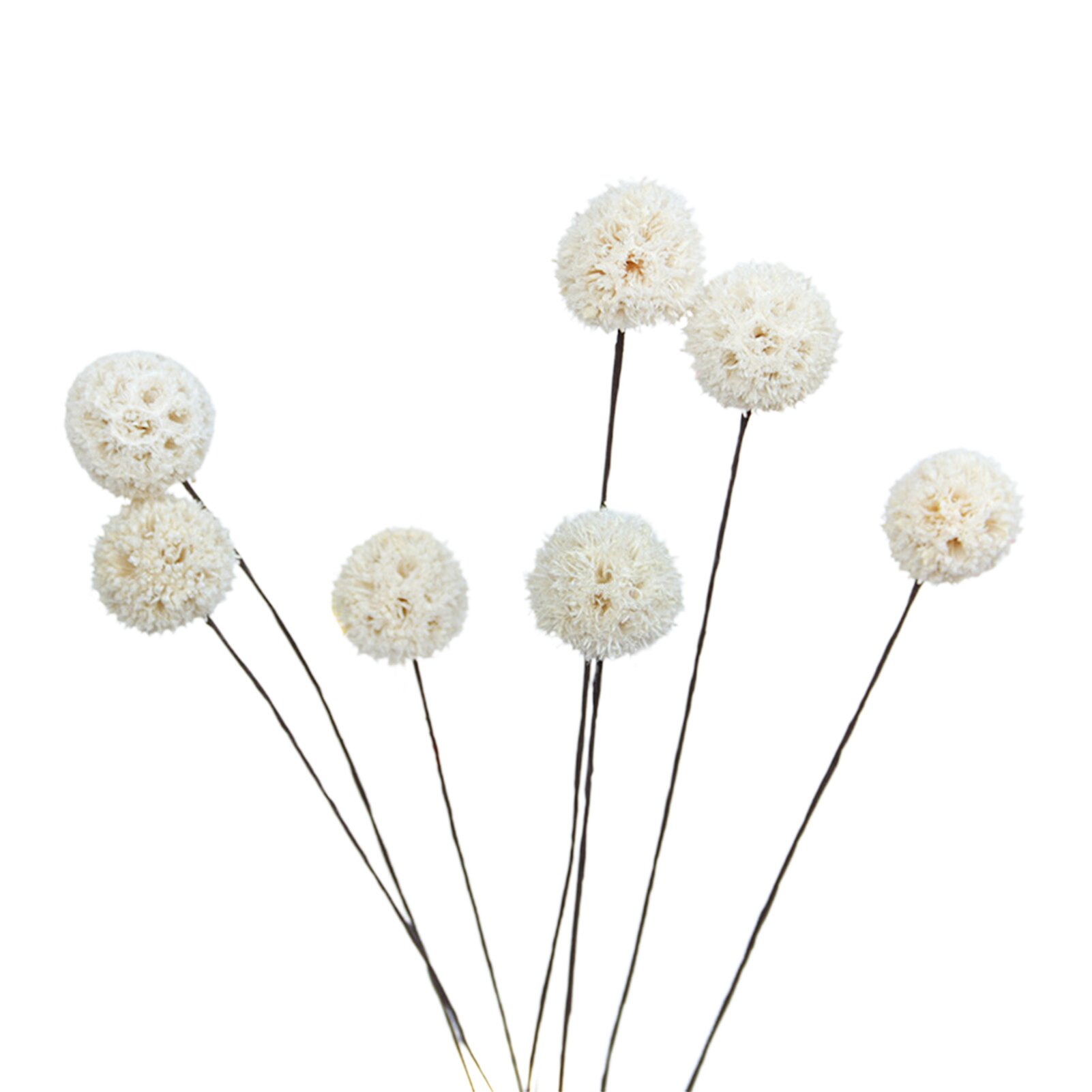 Billy Ball Flowers Dried Artificial Home Garden Decoration