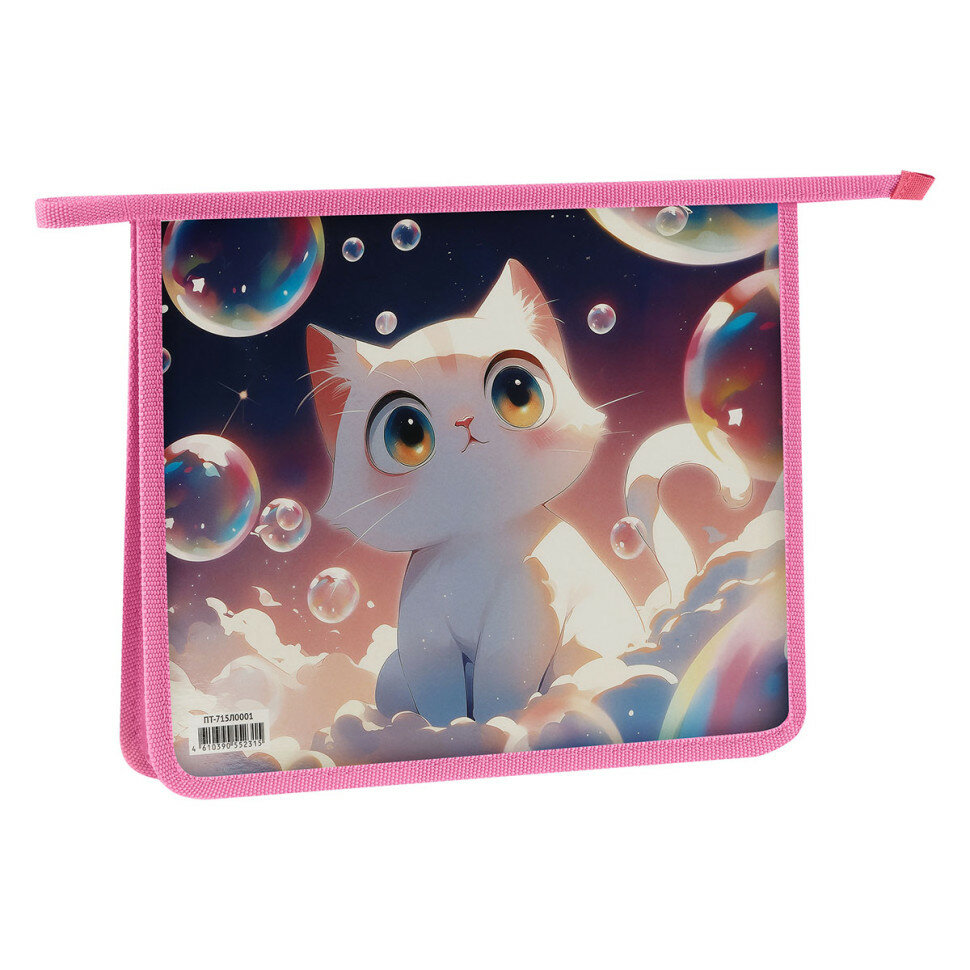 Папка для тетрадей 1 отделение, ArtSpace "Soap bubbles", А5, пластик, на молнии, 380273