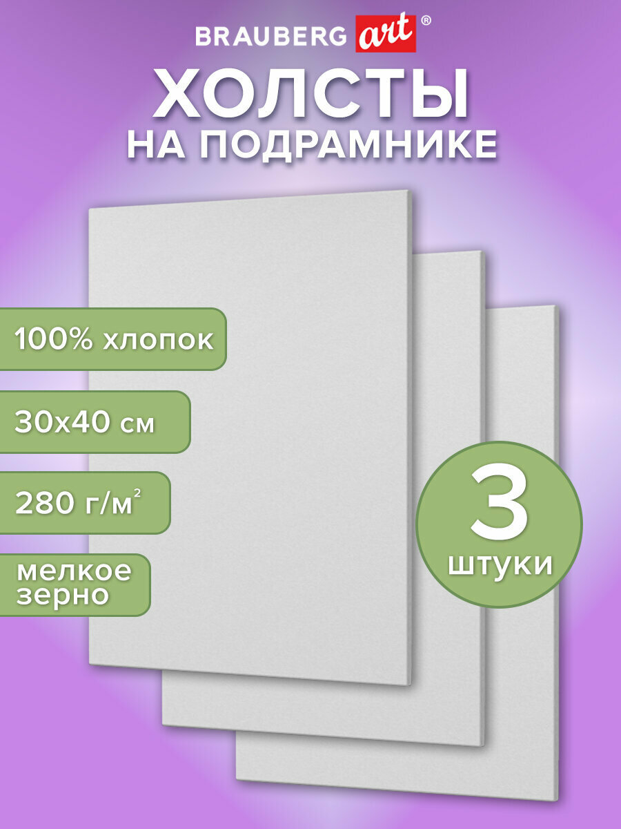 Холст для рисования на подрамнике 30х40см грунтованный набор 3 шт, 280 г/м2, 100% хлопок, мелкое зерно, Brauberg, 192677