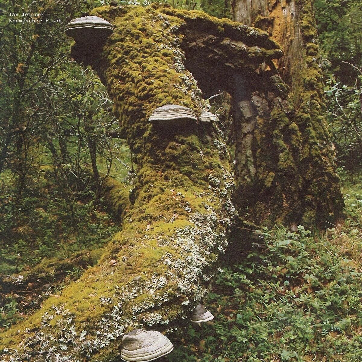 Jan Jelinek - Kosmischer Pitch (LP) 2025, WAS, Black Vinyl, Фирменная виниловая пластинка