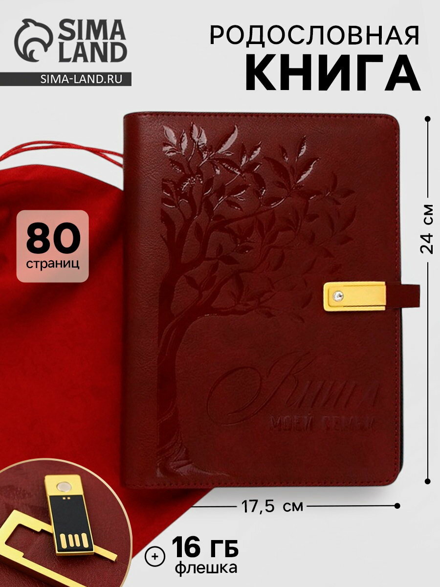 Родословная книга со встроенной флешкой 16 Gb "Книга всей семьи", 17.5x23 см