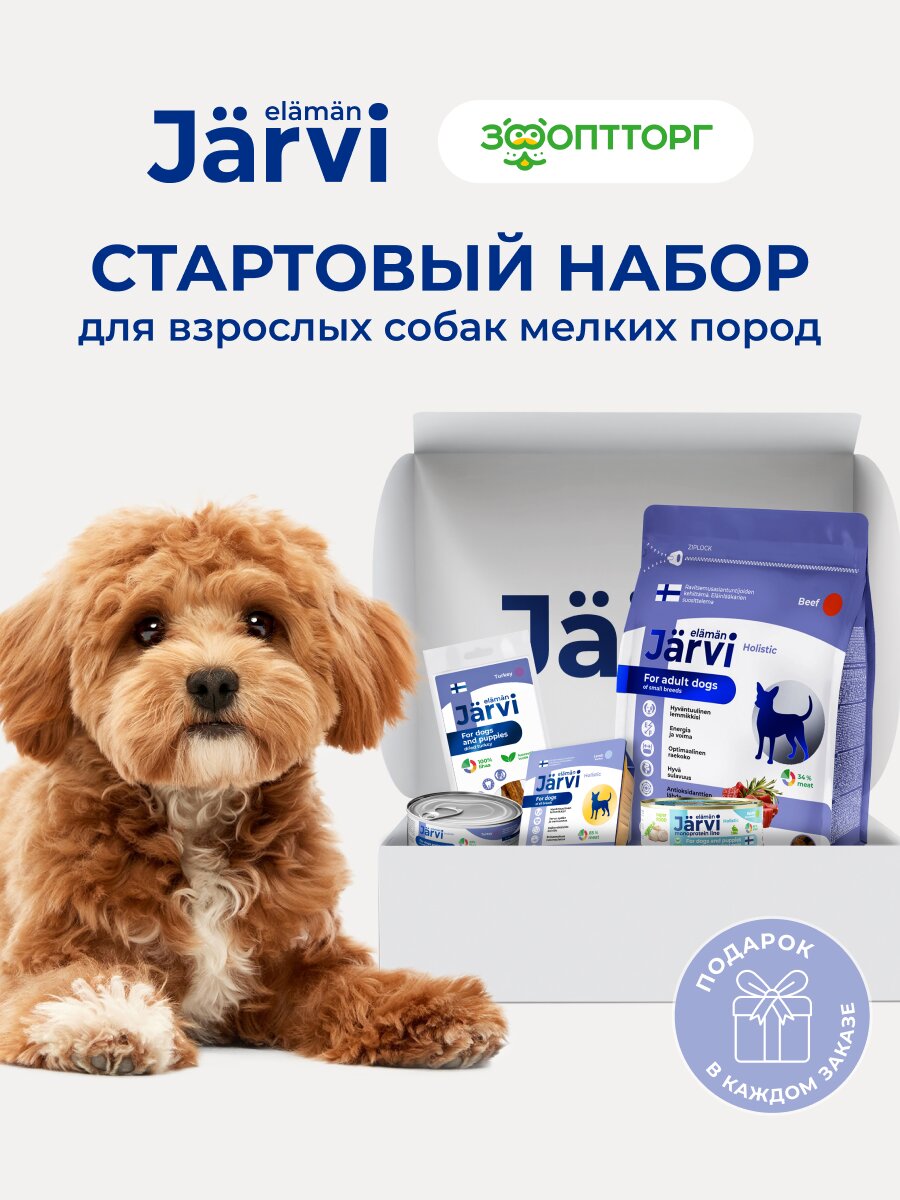 Стартовый набор Jarvi для кормления взрослых собак мелких пород MAX