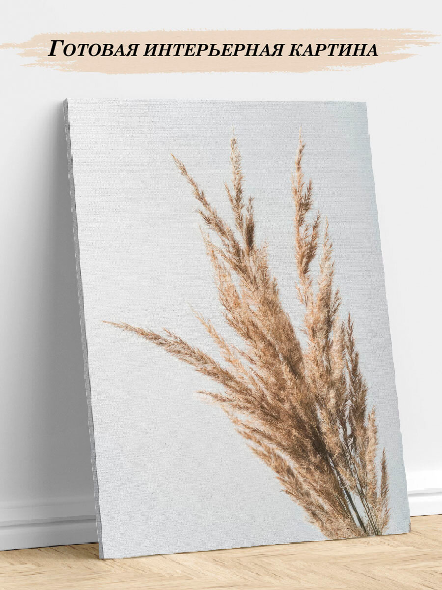 Картины для интерьера 50х70 Сухоцвет трава белый фон