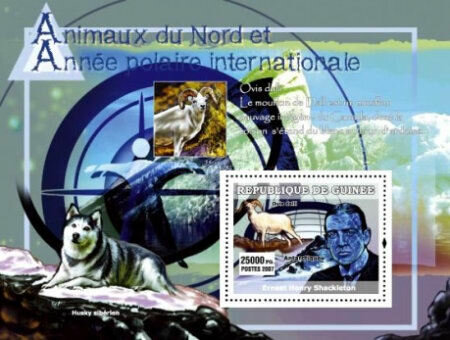 Почтовые марки Гвинея 2007г. "Международный полярный год и животные Севера" Фауна, Актеры MNH