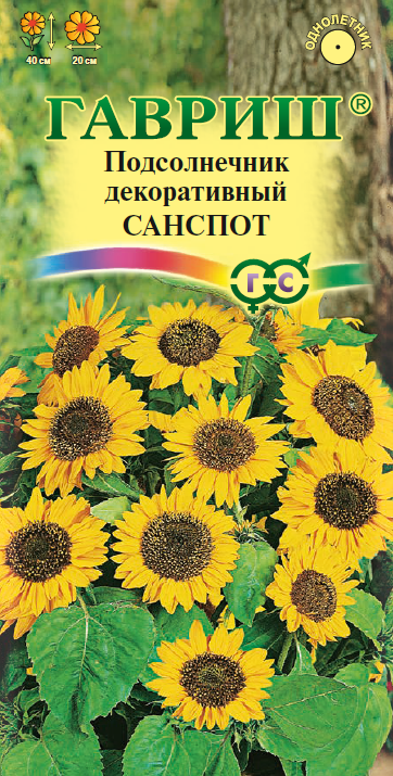 Цена за 10 пачек! Семена Подсолнечник декор. Санспот карликовый 0,5г Одн 40см (Гавриш)