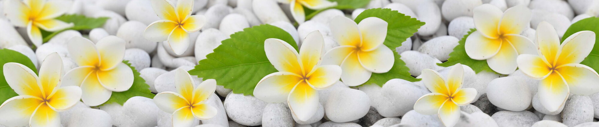 Кухонный фартук/стеновая панель МДФ для кухни 2800*600*6мм "TOP-04"