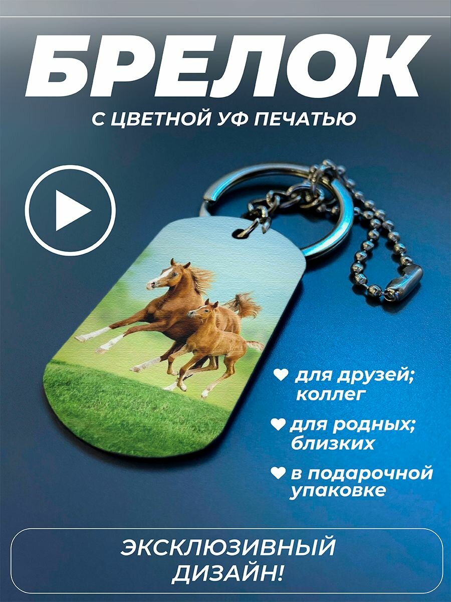 Брелок PNP