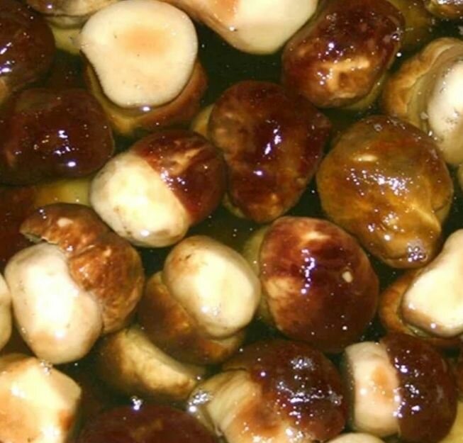 Грибы белые маринованные Экстра 0.5л.