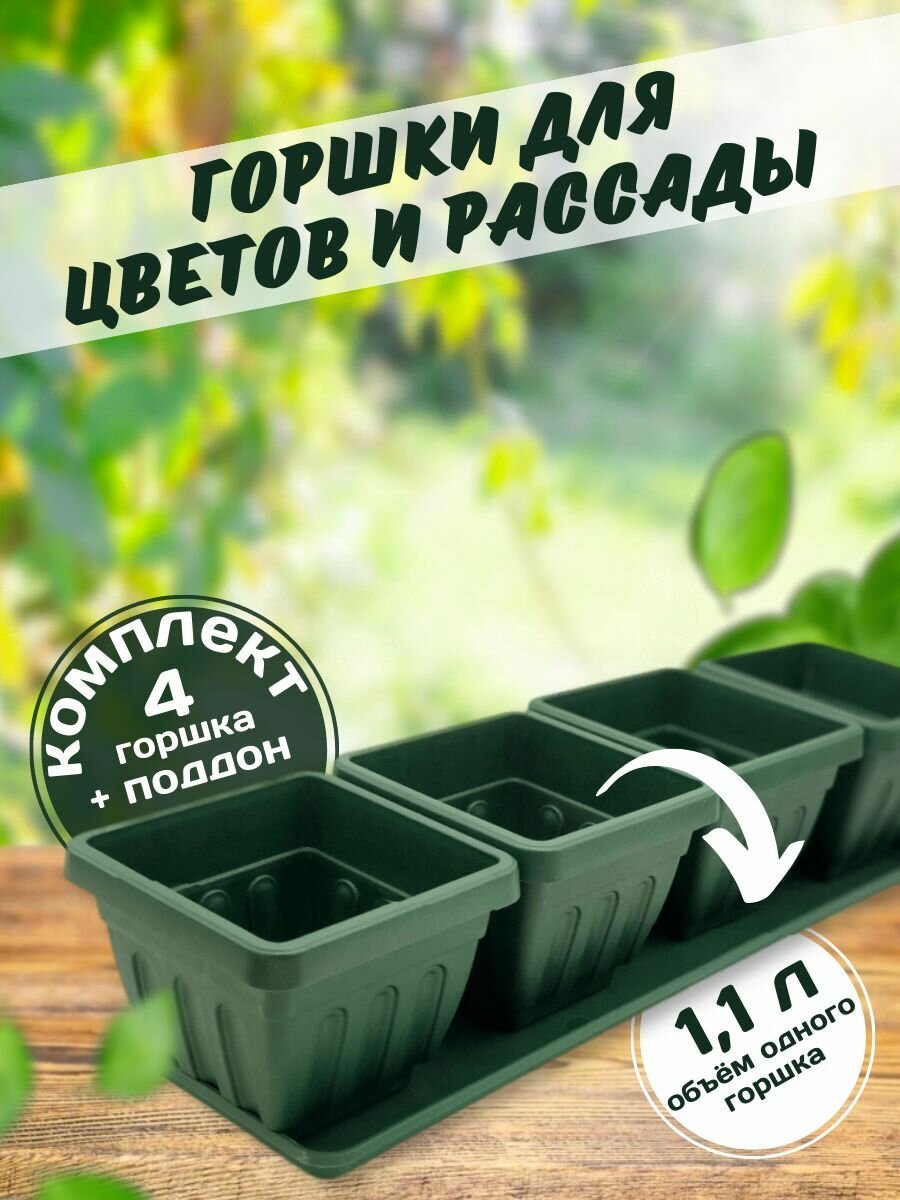 Квартет Ирис поддон + 4 горшочка зеленый
