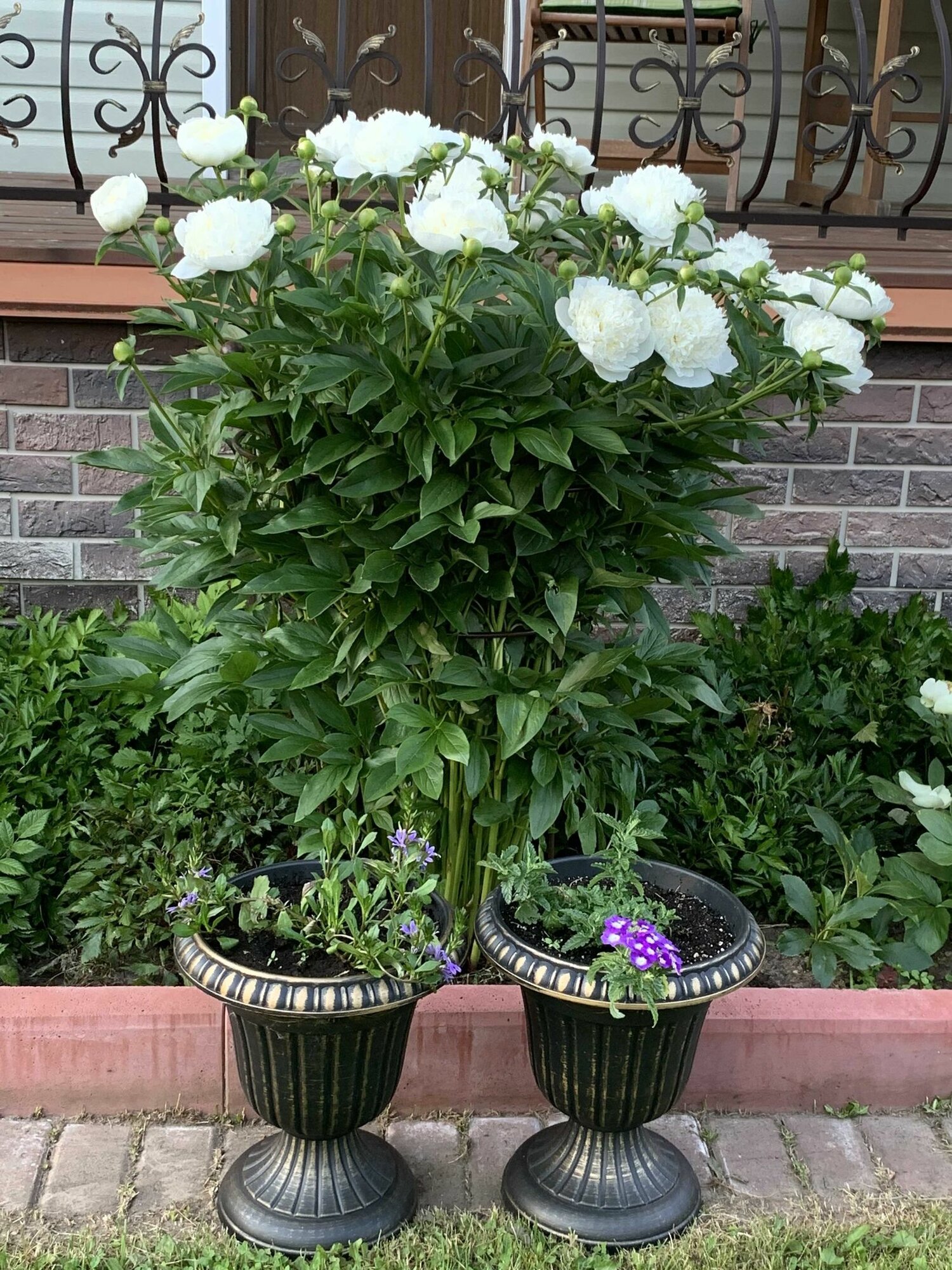 Садовая опора под пионы "корона" 60 СМ диметр.