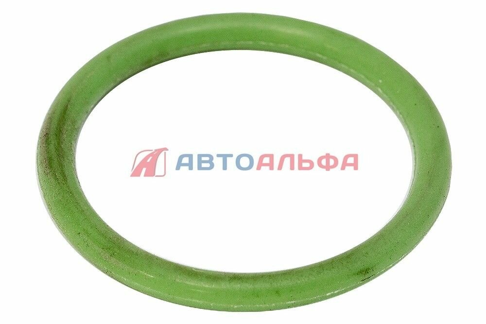 Кольцо уплотнительное 024-028-25 КАМАЗ силикон (ФСИ 65)