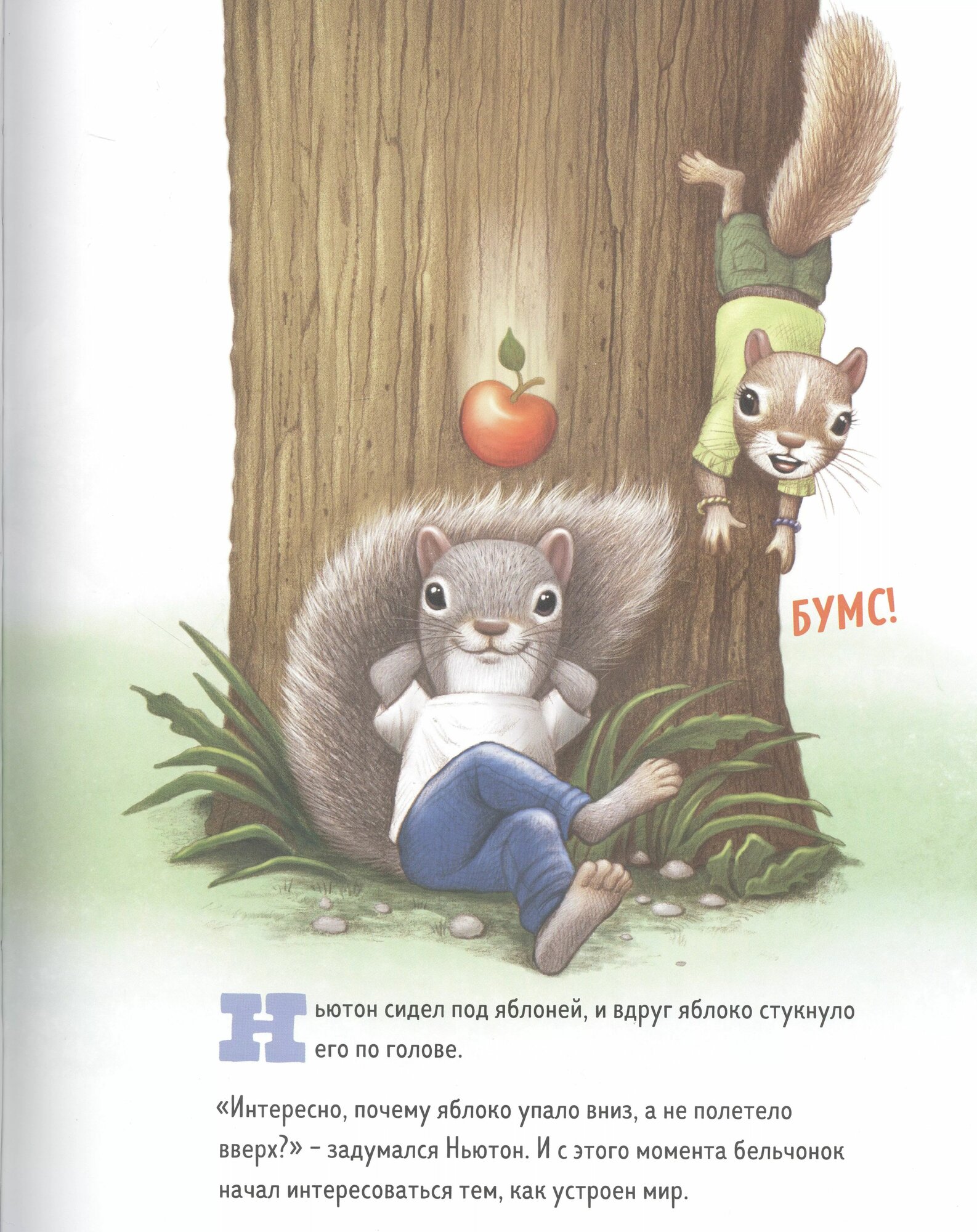 Ньютон и Кюри: любознательные бельчата