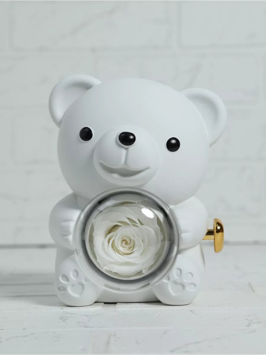 Стабилизированные цветы роза подарочный набор