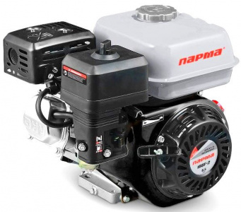 Двигатель Парма 168F-2 02.017.00002