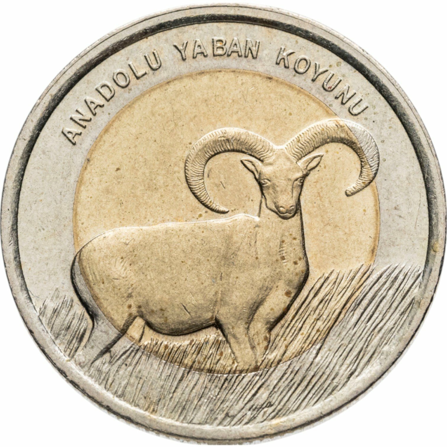 Турция 1 лира lira 2015 Фауна Турции - Муфлон, Биметалл, в сохранности AU