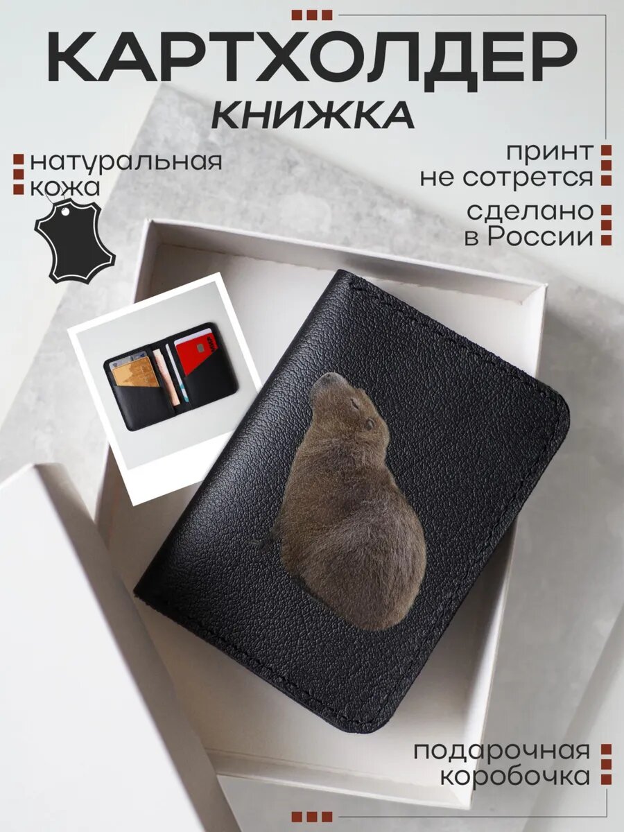 Картхолдер