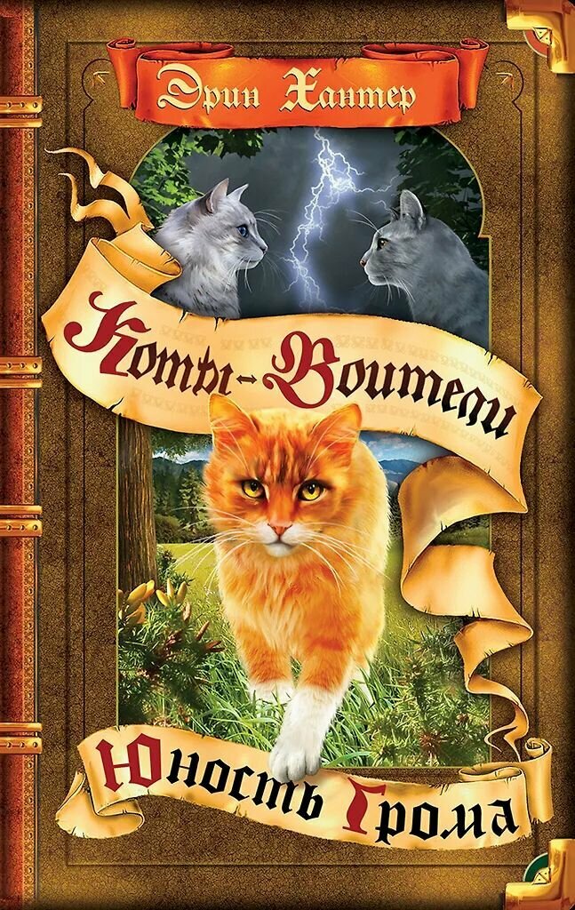 Коты-Воители. Юность Грома. Эрин Хантер. Издательство Просвещение