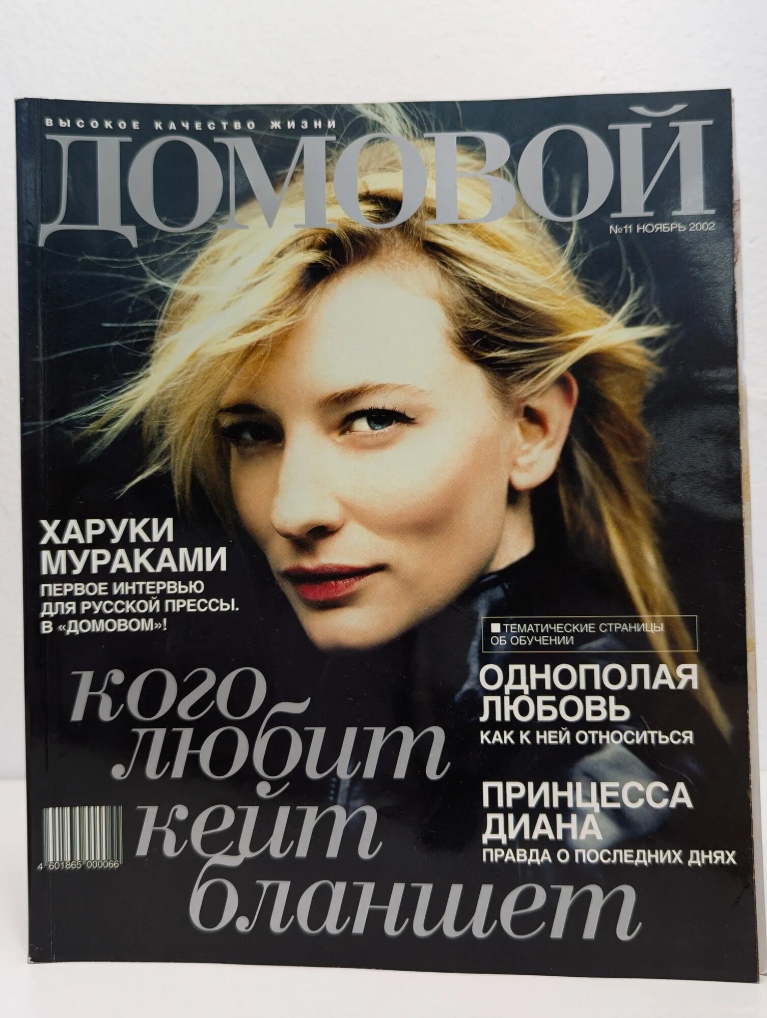 Домовой. Выпуск № 11/2002 2002