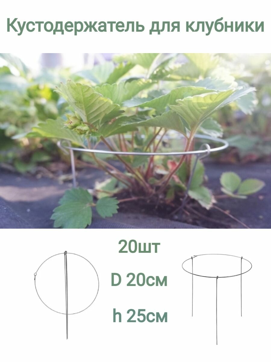 Кустодержатель садовый универсальный, металлический, круглый. Опора для растений, цветов, кустов клубники 20 шт. диаметр 20см, высота 25см.