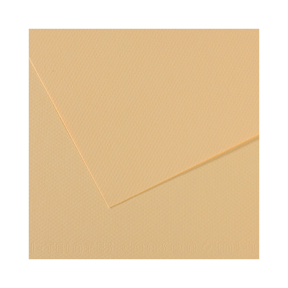 "Canson" Бумага для пастели Mi-Teintes 160 г/м2 75 х 110 см лист №407 кремовый C200321127