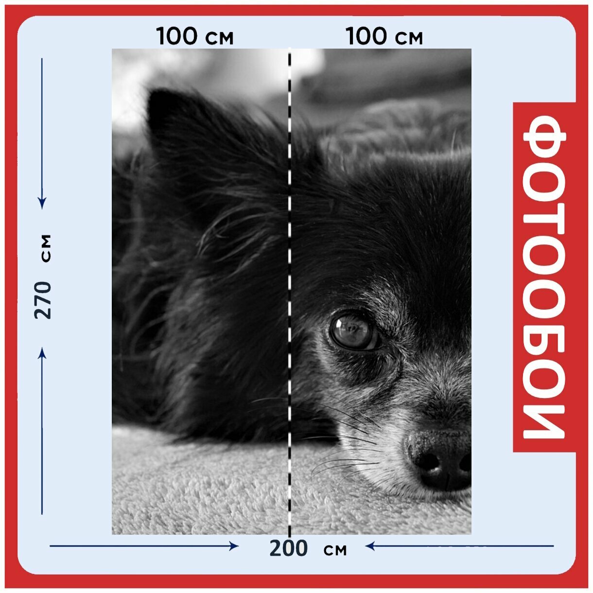 Фотообои "Чихуахуа белый черный, маленькая собака, на диване" 200x270 см. флизелиновыена стену