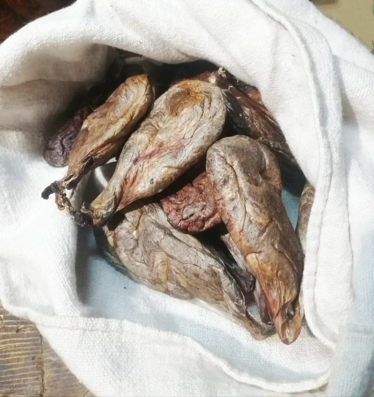 Бобровая струя 280г — фото 1