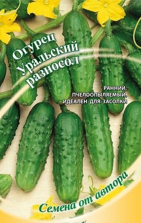 Семена Огурец Уральский разносол