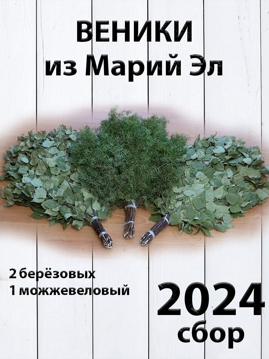 Комплект веников для бани, 2 березовых и можжевеловый из Марий Эл сбор 2024