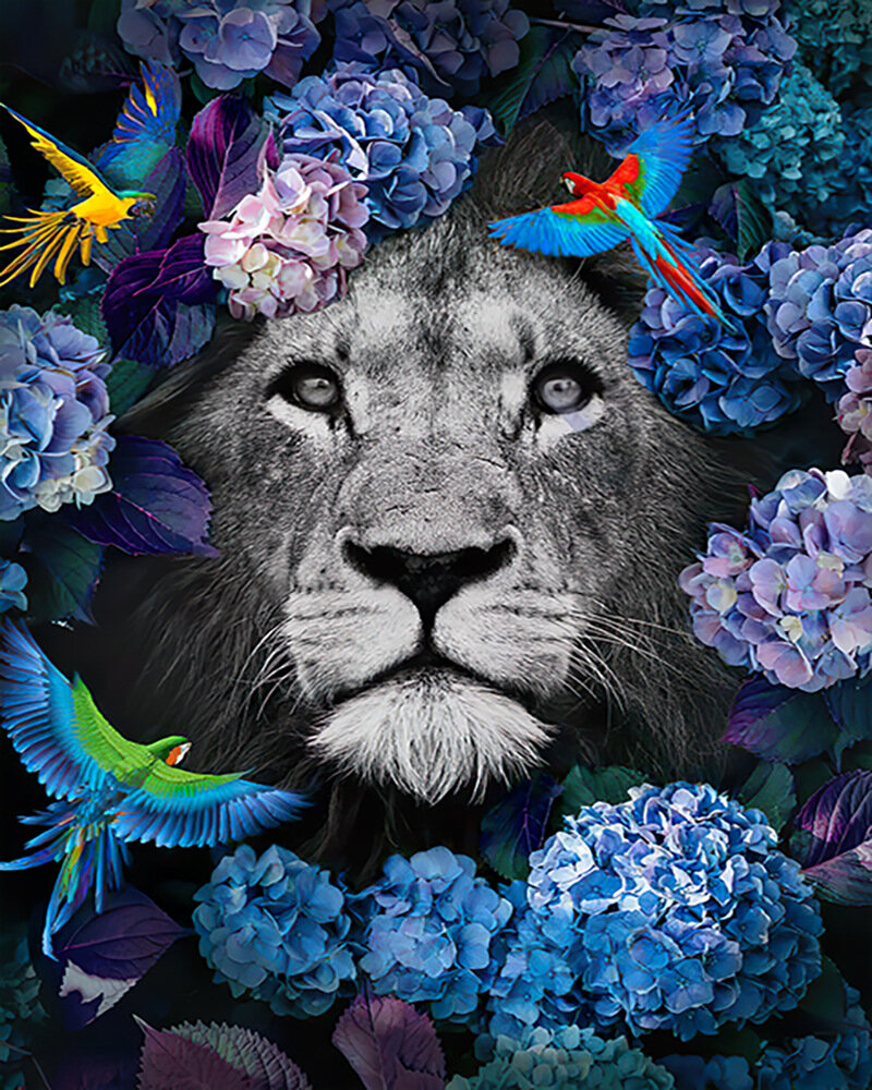 Картина по номерам на холсте с подрамником, Лев и гортензия, 40х50 см