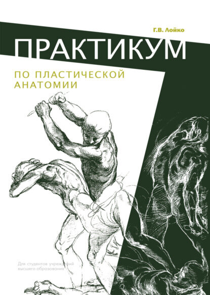 Практикум по пластической анатомии [Цифровая книга]