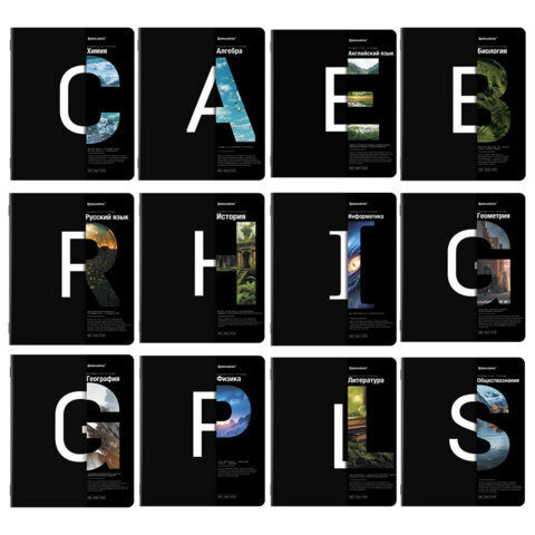 Тетради предметные Brauberg комплект 12 предметов, INTELLIGENCE, 48 л, матовая ламинация, , 404845