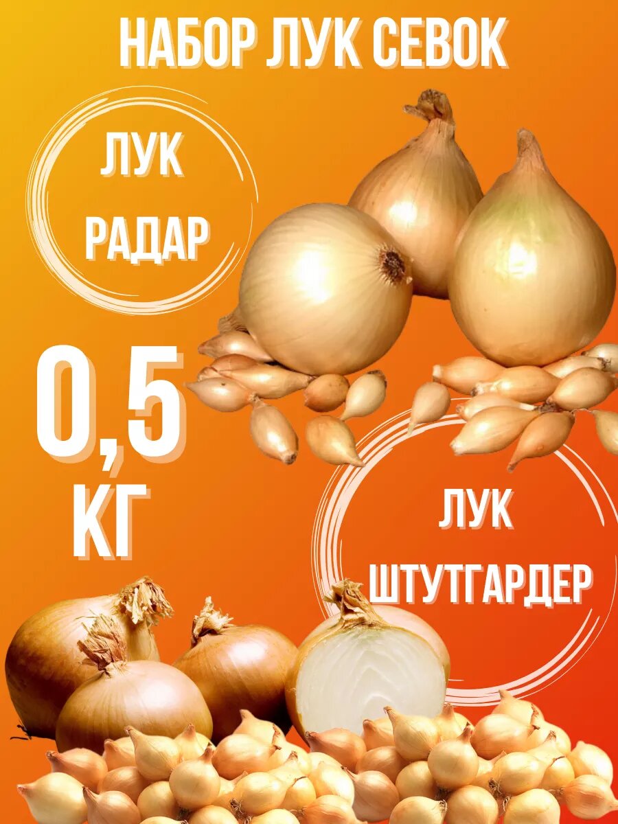 Набор Лук Севок 1 кг