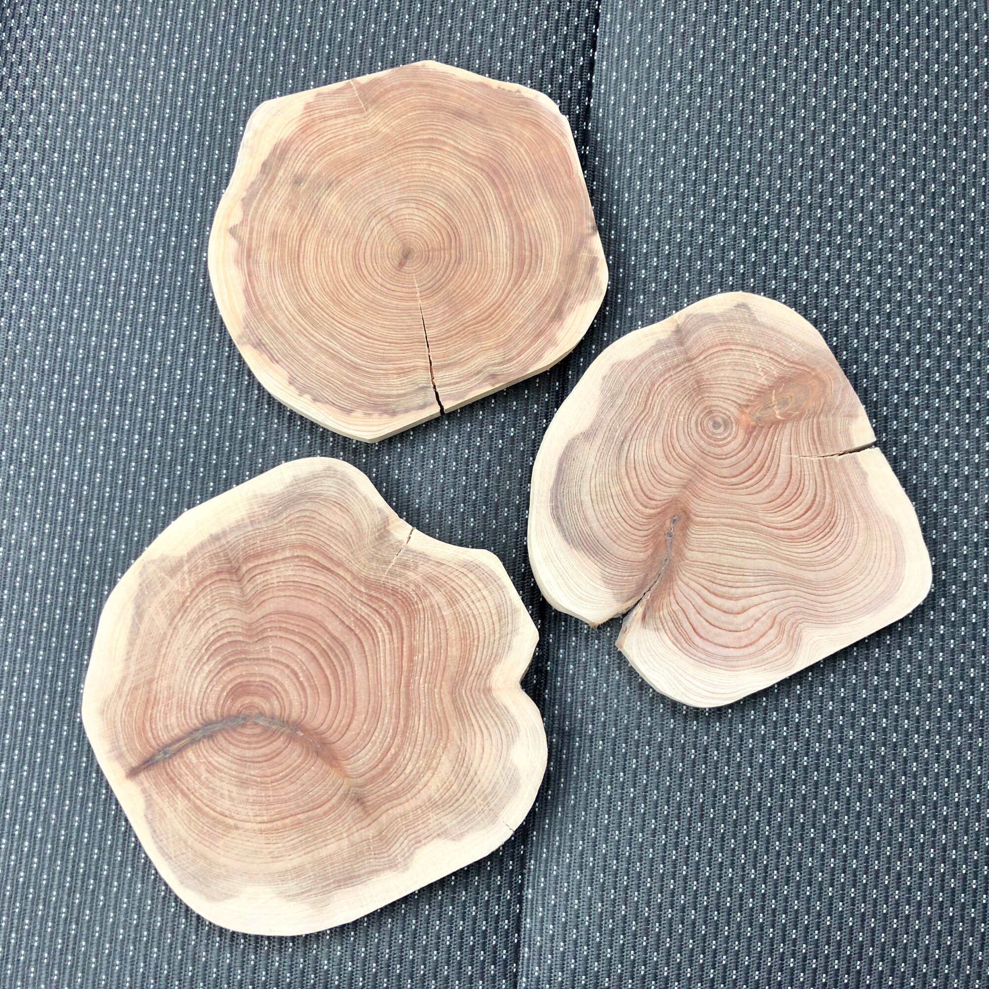 Набор для росписи "Можжевельник" шлифованный, для поделок, 3шт