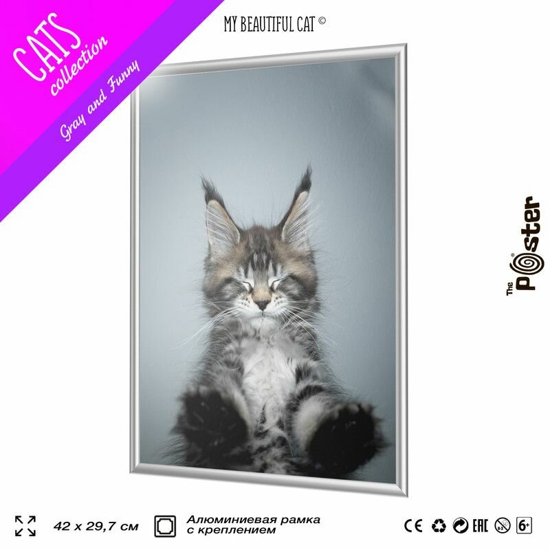 Постер на стену с кошками, Пушистый серый кот, Мейн-кун, в раме, А3 (420х297 мм), SilverPlane