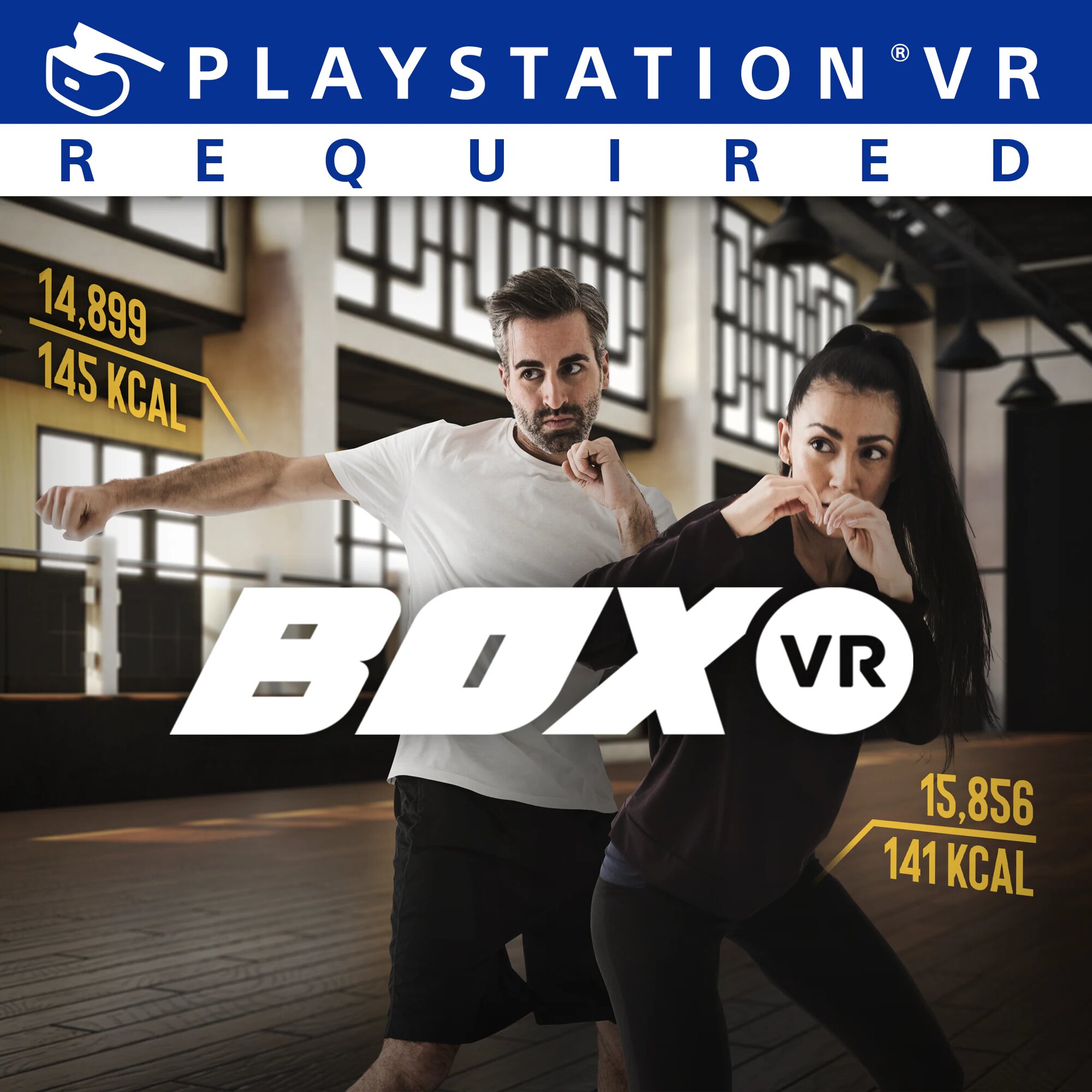 Игра BOXVR, для PlayStation 4, на английском языке, Турция